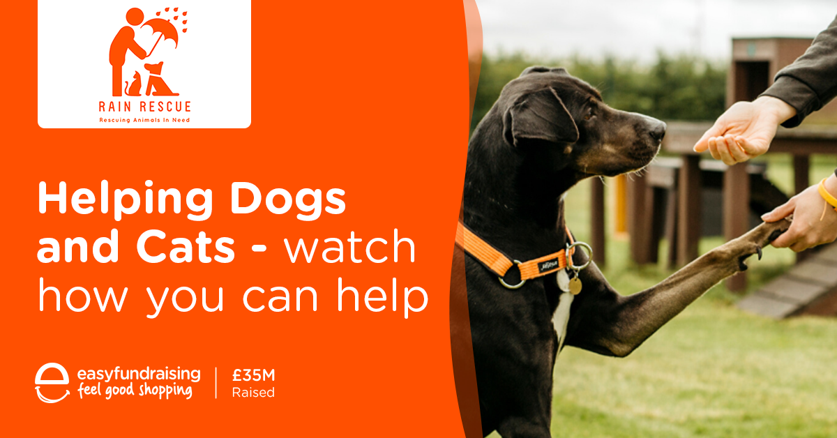 Rain Rescue | easyfundraising