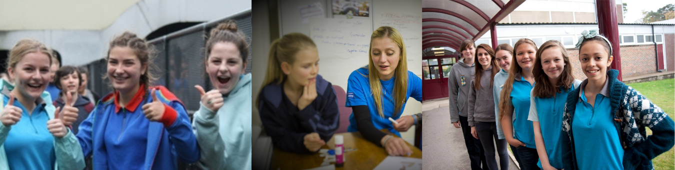 Online Scout Manager | Online fundraising for your Scout Group ...