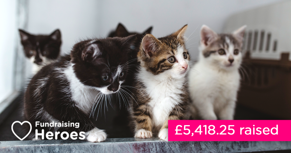 Rain Rescue - Saving Animals from Crisis | Easyfundraising Blog