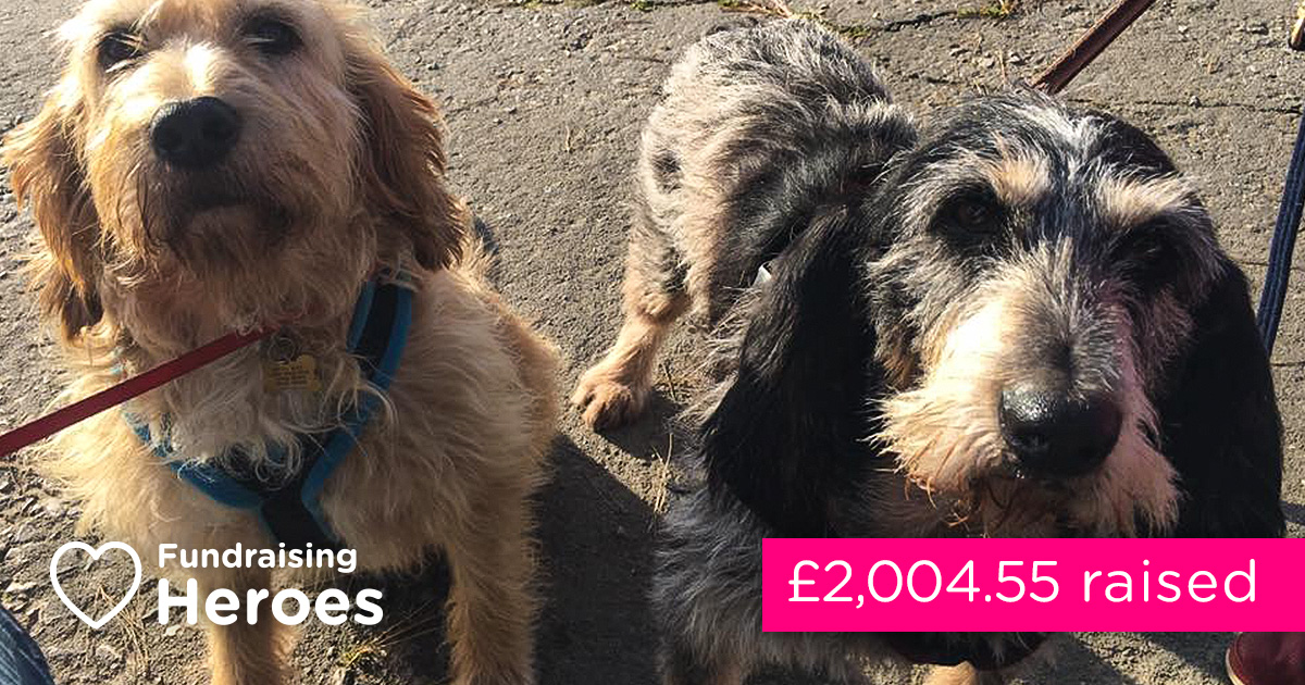Saving Dogs in Dire Straits: Adopt A Griffon UK - Easyfundraising Blog