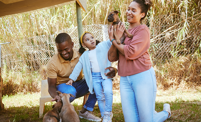 How to Organize a Successful Animal Adoption Fundraiser - easyfundraising